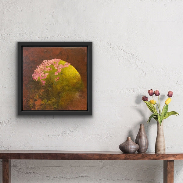 Lambagras í rauðhrauni - Apolloart